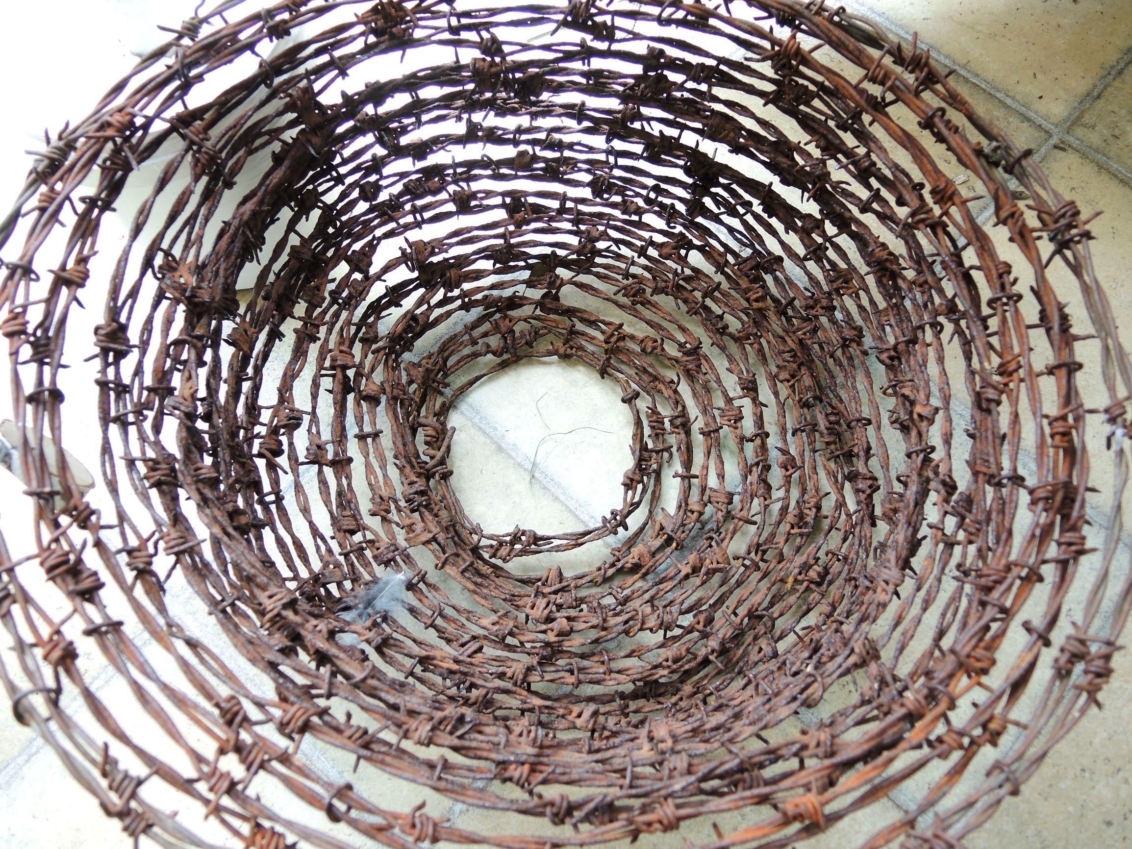 Last 2019 Art Workshop: Basketry Techniques – Dereel Spokes Newsletter