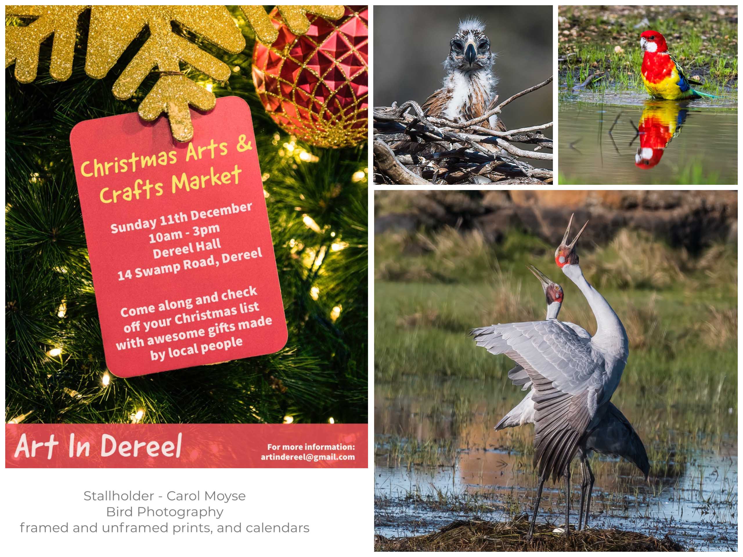 Stallholder: Carol Moyse Photography – Dereel Spokes Newsletter